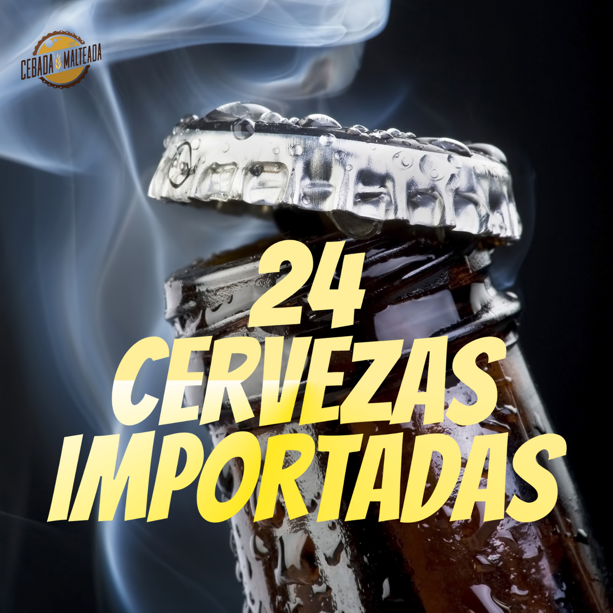 CAJA 24 CERVEZAS IMPORTADAS PROMOCION – CebadaMalteada